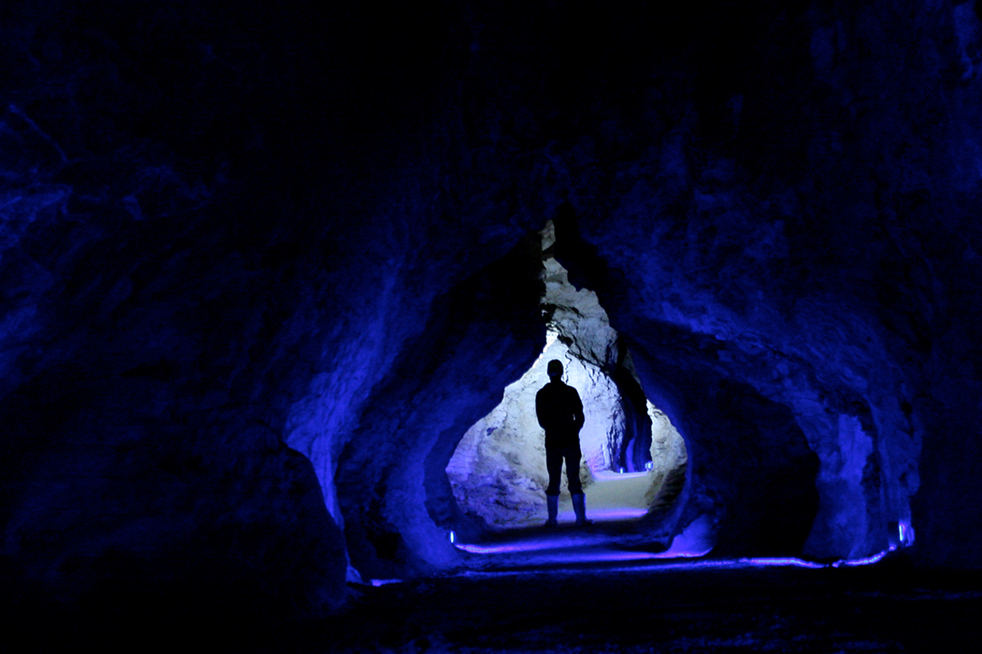 Waitomo Caves | Voice Brand Agency